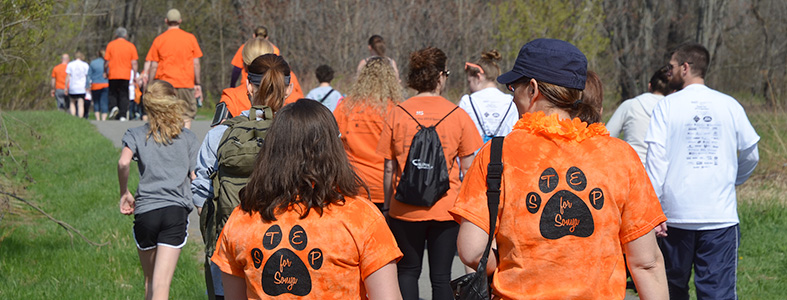 Amateur Radio Communications for Public Service Activities | KB9VBR J ...